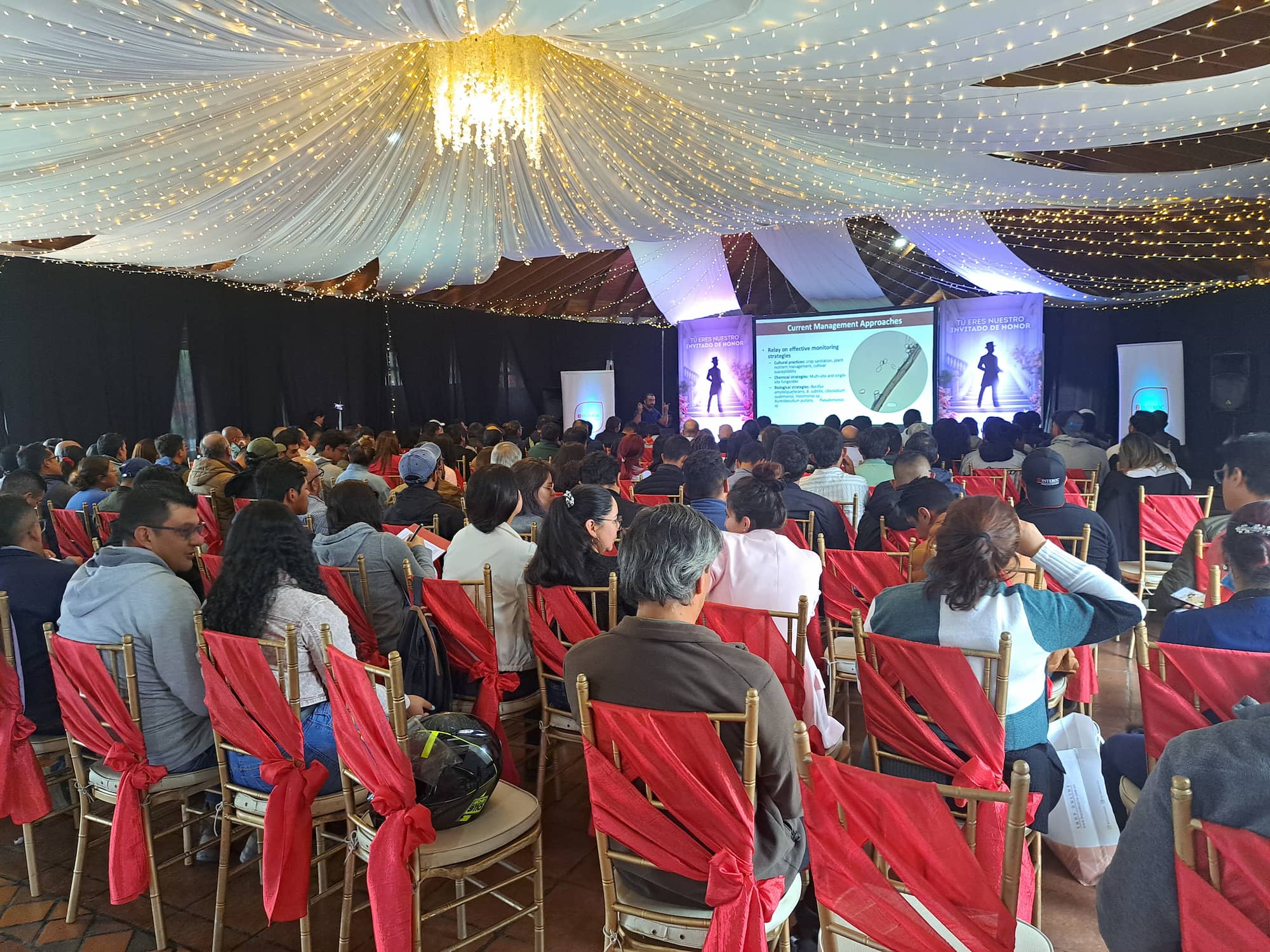 LANZAMIENTO-ATTICUS-INTEROC-METROFLOR | Metroflor